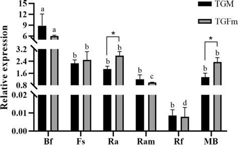 Determination Of Rumen Microbiota Density Of Tibetan Goats Of Different