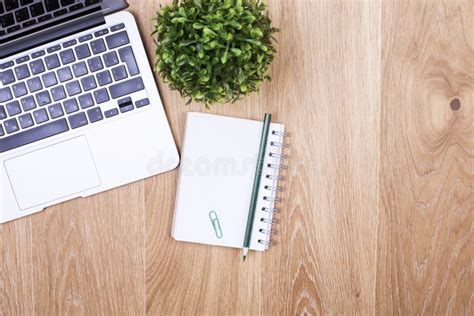 Laptop Notepad And Plant Stock Illustration Illustration Of Keypad