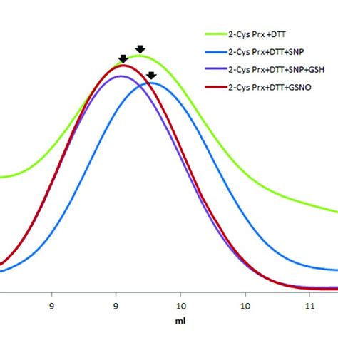 Elution Profile After Size Exclusion Chromatography Through Download Scientific Diagram