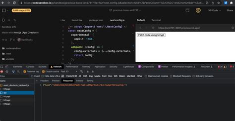 Route Handlers Crash With Bcrypt · Issue 46493 · Vercelnextjs · Github