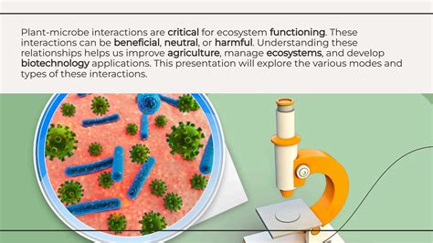 Slidesgo Exploring Plant Microbe Interactions Modes And Types Of