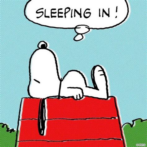Sleeping In Snoopy Comics Peanuts Snoopy Snoopy Pictures