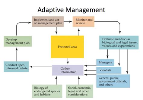 Adaptive Management Flashcards Quizlet