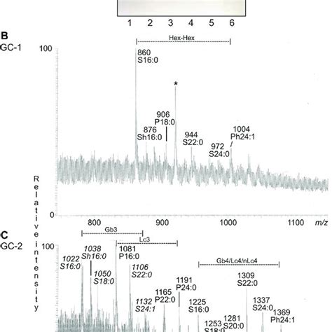 Lc Esi Ms Of The Oligosaccharides Derived From Fraction Gc 3 By