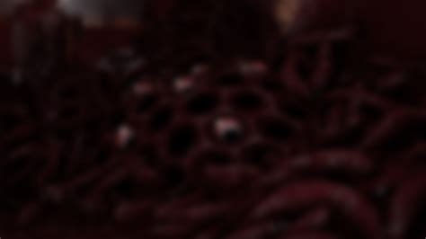 Save 90 On Sex Chess On Steam