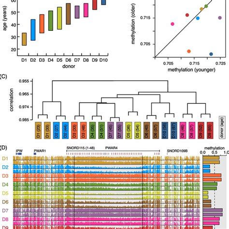 Donor Identity Dominates Global Variation In Human Sperm Dna