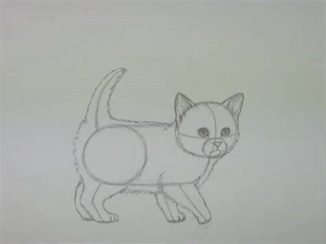 Картинки как нарисовать котенка картинки