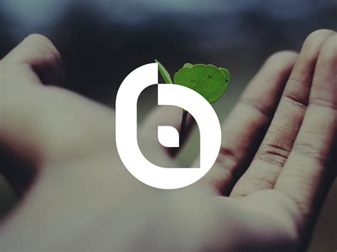 Bioleaf Logo Brand Identity Design Behance