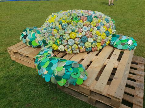 Turtle — Sarah Turner Eco Art And Design