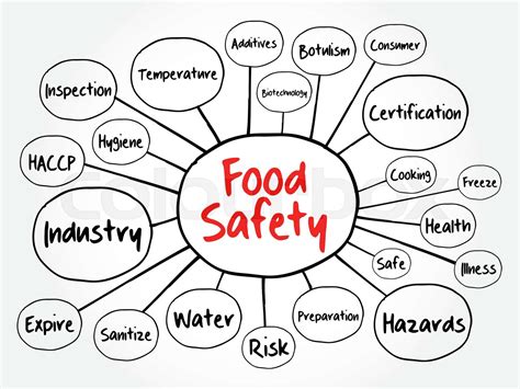 Food Safety Mind Map Flowchart Stock Vector Colourbox