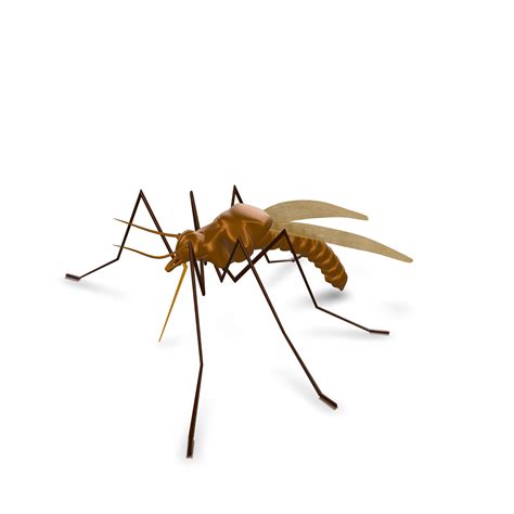 Cat 3d Model Free Glb Download Get3dmodels