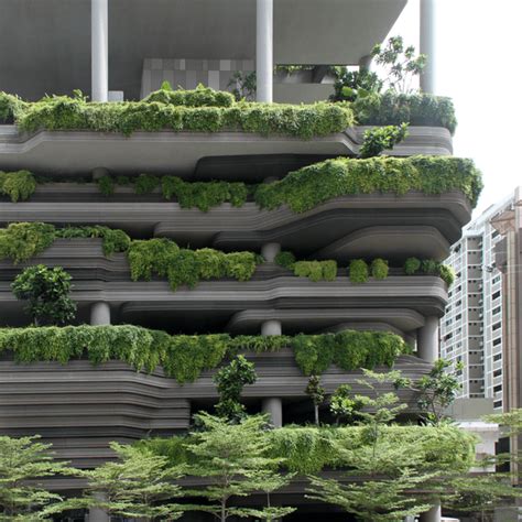 Online Course Sustainable Cities From Johns Hopkins University Class