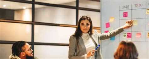 Understanding Pmis Project Management Body Of Knowledge Pmbok® Guide A Comprehensive