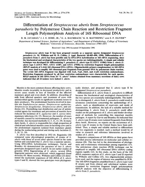 Pdf Differentiation Of Streptococcus Uberis From Streptococcus