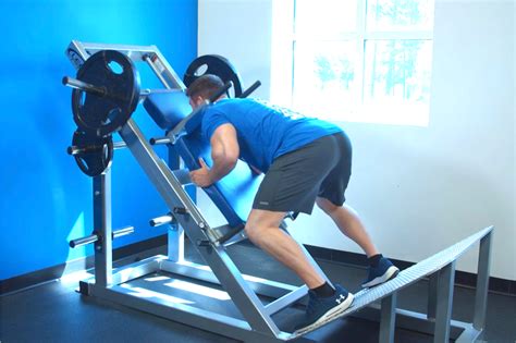 Reverse Hack Squat Correct Techniques And Muscles Worked