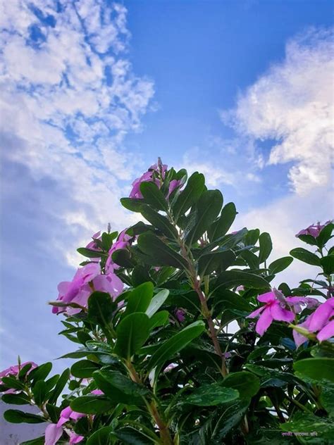আকাশ দেখতে খুব সুন্দর