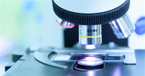Quality Diagnostics And Imaging