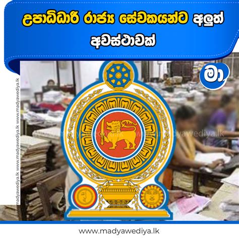 දිවයිනේ ජාතික හා පළාත් සභා පාසල් සඳහා උපාධිධාරී ගුරු භවතුන් බඳවා ගැනේ