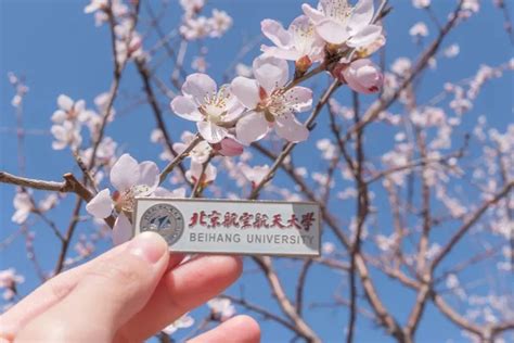 2021考北航 新增4专业，最全招生政策来了！这些亮点和变化！澎湃号·政务澎湃新闻 The Paper