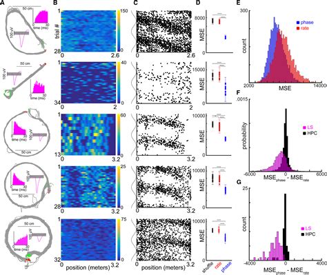 Transformation Of A Spatial Map Across The Hippocampal Lateral Septal