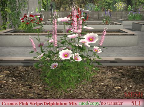 Second Life Marketplace Cosmos Pink Stripe Delphinium Mix