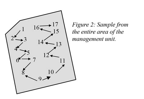 Soil Sampling Procedures For Nutrient Management University Of