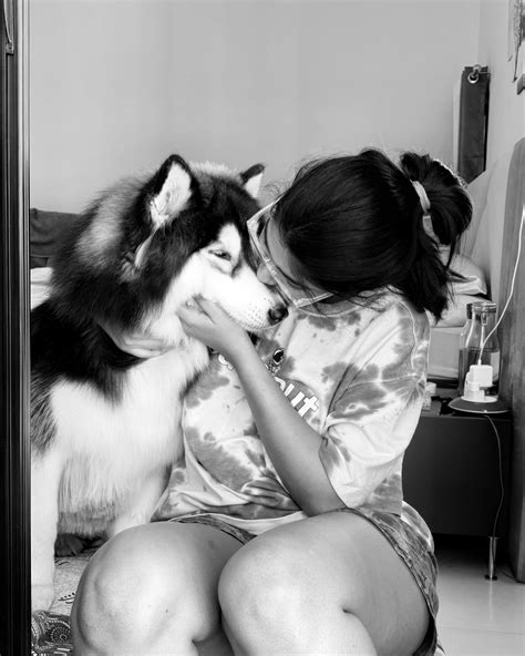 Hello Husky