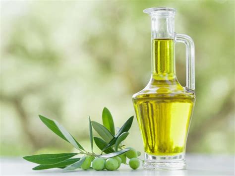 Olive Oil For Hair Benefits Uses How To Is Good For Hair 53 Off