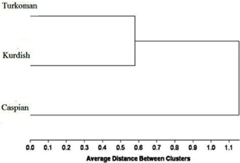 Dendrogram Plotted By Upgma Method Based On The Cluster Analysis Among