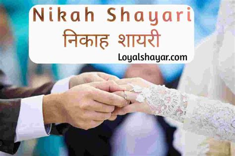 50 New Nibba Nibbi Shayari And Memes निब्बा निब्बी का अर्थ Loyal
