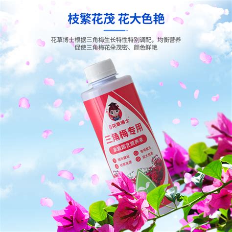 南北方9月份会开花的花卉个个都很美花期还很长