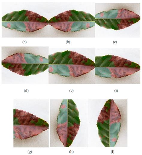 Visual Tea Leaf Disease Recognition Using A Convolutional Neural