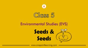 Class 5 EVS Chapter Seeds And Seeds Worksheet PDF