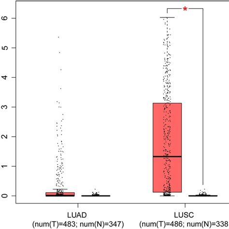Expression Of Lncrna Ccat1 In Luad And Lusc Tissues Samples From Tcga