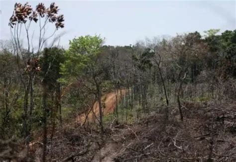 Key Highlights Of The Ipbes Nexus Report Addressing Global Challenges