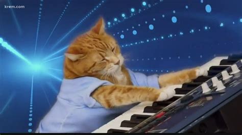 Keyboard Cat