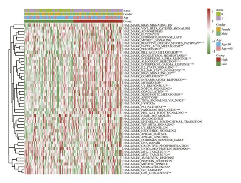 Hallmark Pathway Enrichment Analysis Results A Correlation Heat Map Download Scientific