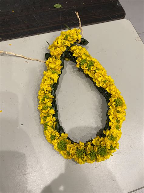 公式観光農園花ひろば いちご狩り ひまわり 松葉ボタンなどの花が楽しめる S 16637964