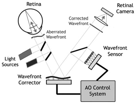 Basic Layout Of An Adaptive Optics System For Retinal Imaging The