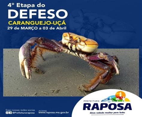 ALERTA Começa quarta etapa do período de defeso do caranguejo uçá Hora Extra