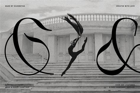 Bespoke Display Elegant Serif And Script Font Duo Behance