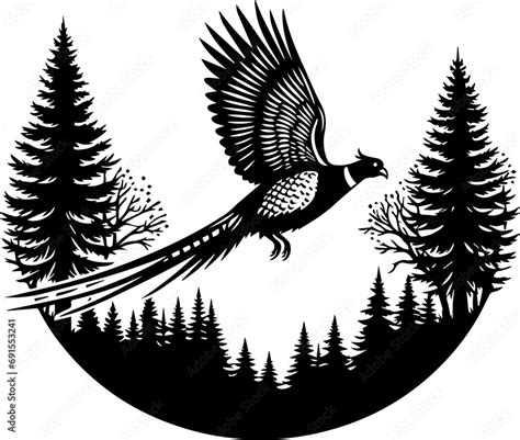 Flying Pheasant Silhouette Vector Black Silhouettes Of Pheasant In Different Pose Stock Vector