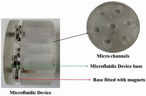 Scheme 3 Schematic Representation Of Miniaturized Portable