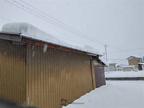 細かい雪が降り続いています これからガレ 福井県越前市 ぼんちうま ウェザーニュース