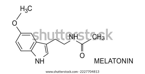 Melatonin Molecule Structure Vector Chemical Melatonin Stock Vector