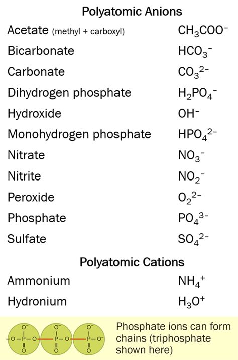 Functional Groups And Polyatomic Ions Integrated Human Anatomy And Physiology