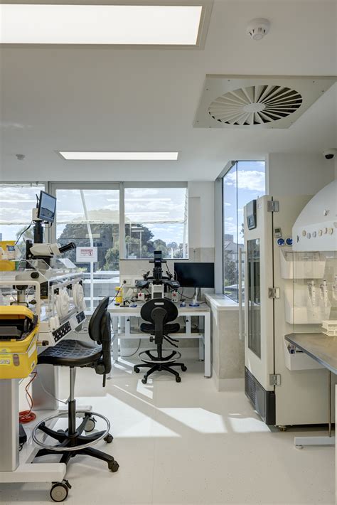 Intrauterine Insemination Perth Iui Procedure Oasis Fertility Centre