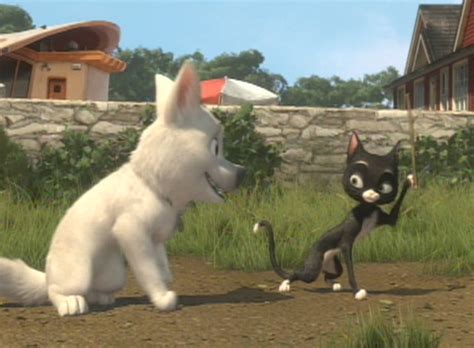 Bolt 2008 Cinema Cats