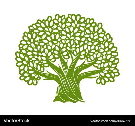 Tree Symbol Decorative Oak With Leaves Royalty Free Vector