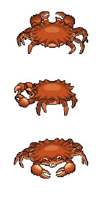 Crab S Get The Best  On Er
